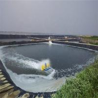 China Smooth Pond Liner HDPE Geomembrane 1mm for Fish Farming in Environmental Applications for sale