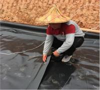 China Smooth Pond Liner HDPE Geomembrane 1mm for Fish Farming in Environmental Applications for sale