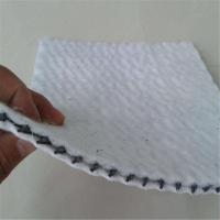 China 6m Width Black and White Geonet Geotextile Composite Drainage Geonet at for Landfill for sale