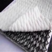 China 6m Width Black and White Geonet Geotextile Composite Drainage Geonet at for Landfill for sale