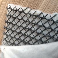 China 6m Width Black and White Geonet Geotextile Composite Drainage Geonet at for Landfill for sale