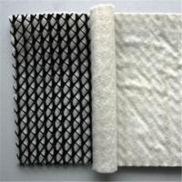China Density Polyethylene HDPE Geonet Drainage Net The Perfect Solution for Clogged Drains for sale