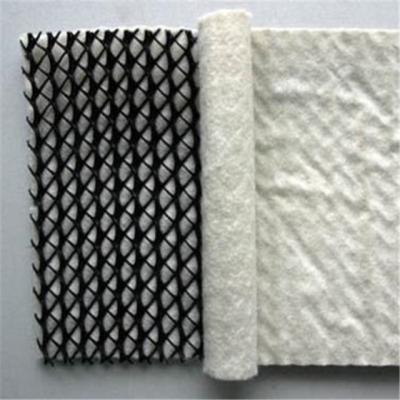 China Highly Engineered HDPE Geonet and Geocomposite Drainage Liners in Chinese Design Style for sale