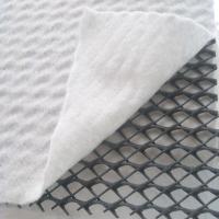 China Density Polyethylene HDPE Geonet Drainage Net The Perfect Solution for Clogged Drains for sale
