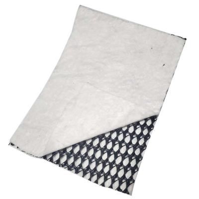 China Density Polyethylene HDPE Geonet Drainage Net The Perfect Solution for Clogged Drains for sale