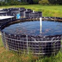 China 0.75mm 1.0mm HDPE Geomembrane Pond Liner for Biofloc Tank Customizable and Waterproof for sale