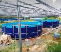 China 0.75mm 1.0mm HDPE Geomembrane Pond Liner for Biofloc Tank Customizable and Waterproof for sale
