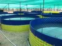 China 0.75mm 1.0mm HDPE Geomembrane Pond Liner for Biofloc Tank Customizable and Waterproof for sale