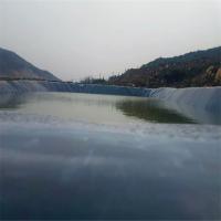 China 0.75mm 1.0mm HDPE Geomembrane Pond Liner for Biofloc Tank Customizable and Waterproof for sale