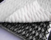 China Density Polyethylene HDPE Geonet Drainage Net The Perfect Solution for Clogged Drains for sale