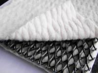 China Chinese Design Style 3D Geocomposite Drainage Geo Cell Mat for Landfill Construction for sale