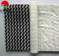China 3D Geonet Plastic Composite Drainage Geonet Designed in with 5.0mm-12.0mm Core Thickness for sale