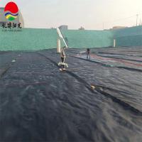 China HDPE Geomembrane Liner Plastic Sheet for Fish Farming Water Tank Environmentally Friendly for sale