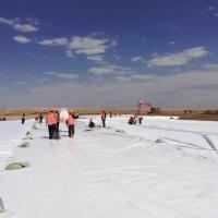 China Contemporary Design Style Nonwoven Geotextile Fabric at Supply with Length as Request for sale