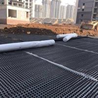 China HDPE Composite Drainage Network Dimple Drain Sheet with Geotextile Drainage Geonet for sale