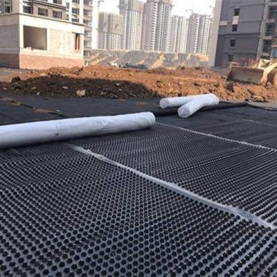 China HDPE Composite Drainage Network Dimple Drain Sheet with Geotextile Drainage Geonet for sale