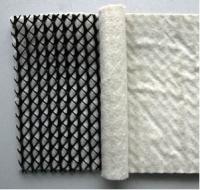 China HDPE Composite Drainage Network Dimple Drain Sheet with Geotextile Drainage Geonet for sale