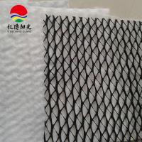 China Experience the Difference of Our HDPE Mesh 3D Composite Drainage Geonet for Other Uses for sale