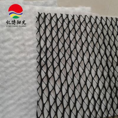 China Experience the Difference of Our HDPE Mesh 3D Composite Drainage Geonet for Other Uses for sale