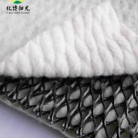 China Experience the Difference of Our HDPE Mesh 3D Composite Drainage Geonet for Other Uses for sale