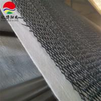 China Composite Drainage Network Geonet Core 5mm-12mm for Long-Lasting Drainage Engineering for sale
