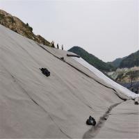 China HDPE Composite Geonet Plastic Geocomposite for Drainage and Protection Installations for sale