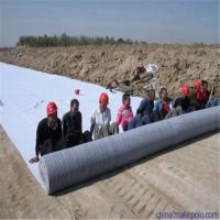 China Customizable Sodium Bentonite Agriculture GCL Waterproof Blanket for Agriculture for sale