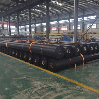 China Pond Liner for Aquaculture 0.5mm/0.75mm HDPE Geomembranes in Black White Green or Blue for sale