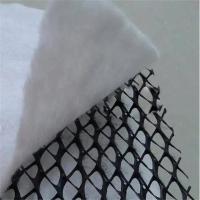 China Drainage Engineering Solution 3D Geocomposite Drainage Mat with 5mm-12mm Geonet Core for sale