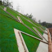 China 3d Geomat for Slope Protection in Black Green Color and Tri-Dimensional Grid Design for sale