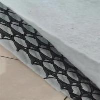 China Drainage Engineering Design Style Geocomposite Drainage Mat for Drainage Protection for sale