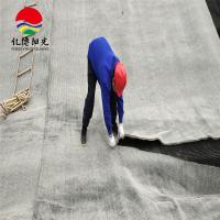 China Chemical Resistance Function Geosynthetic Clay Liner for Industrial Applications for sale