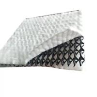 China HDPE Mesh Drainage Mats for High Drainage Efficiency in 3D Composite Drainage Network for sale