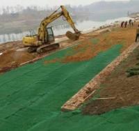 China Grass Protection Turf Reinforcement Mesh with HDPE PE Material Length 25m-50m/roll for sale