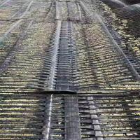 China Strong Bearing Capacity Biaxial Plastic Geogrid for Dams and Roadbed Reinforcement for sale