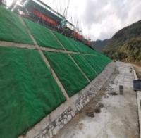 China 3D Geomat HDPE PE Plastic Net for 2.0m-2.5m Width Erosion Control and Drainage System for sale