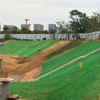 China 3D Geomat HDPE PE Plastic Net for 2.0m-2.5m Width Erosion Control and Drainage System for sale