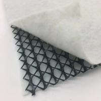 China HDPE 3D Composite Drainage Network Geomat The Ultimate Solution for Water Management for sale
