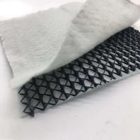 China HDPE 3D Composite Drainage Network Geomat The Ultimate Solution for Water Management for sale