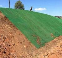 China 2.0m-2.5m Width HDPE Plastic Net The Perfect Fit for Landscape Greening 3D Erosion Control for sale