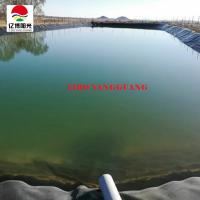China 0.2mm-3.0mm HDPE LLDPE Geomembrane Liners for Fishpond Landfill Flexible and Durable for sale