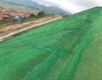 China Slope Protection HDPE Plastic Geonet 3D Erosion Control Mat Geomat for Planted Grass for sale
