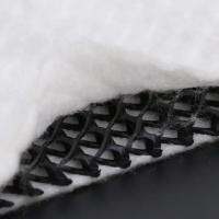 China Chinese Design Style HDPE 3D Composite Drainage Geonet Network Mats for Sports Fields for sale
