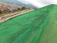 China Slope Protection HDPE Plastic Geonet 3D Erosion Control Mat Geomat for Planted Grass for sale