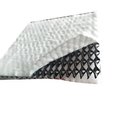 China 3D Composite Drainage Geonet for Greening System and Other Environmental Projects for sale