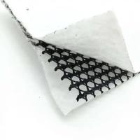 China 3D Composite Drainage Geonet for Greening System and Other Environmental Projects for sale