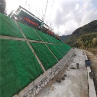 China Three Dimensional Erosion Control Black Green Plastic Geomat for Agriculture Market for sale