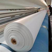 China Non-Woven Geotextile for Civil Constructions 100g/sqm-800g/sqm Certificate ISO9001 for sale