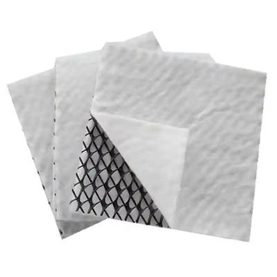 China Heat Insulation Function HDPE Mesh Composite Drainage Geonet Geo Net Drainage Network for sale