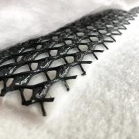 China Heat Insulation Function HDPE Mesh Composite Drainage Geonet Geo Net Drainage Network for sale